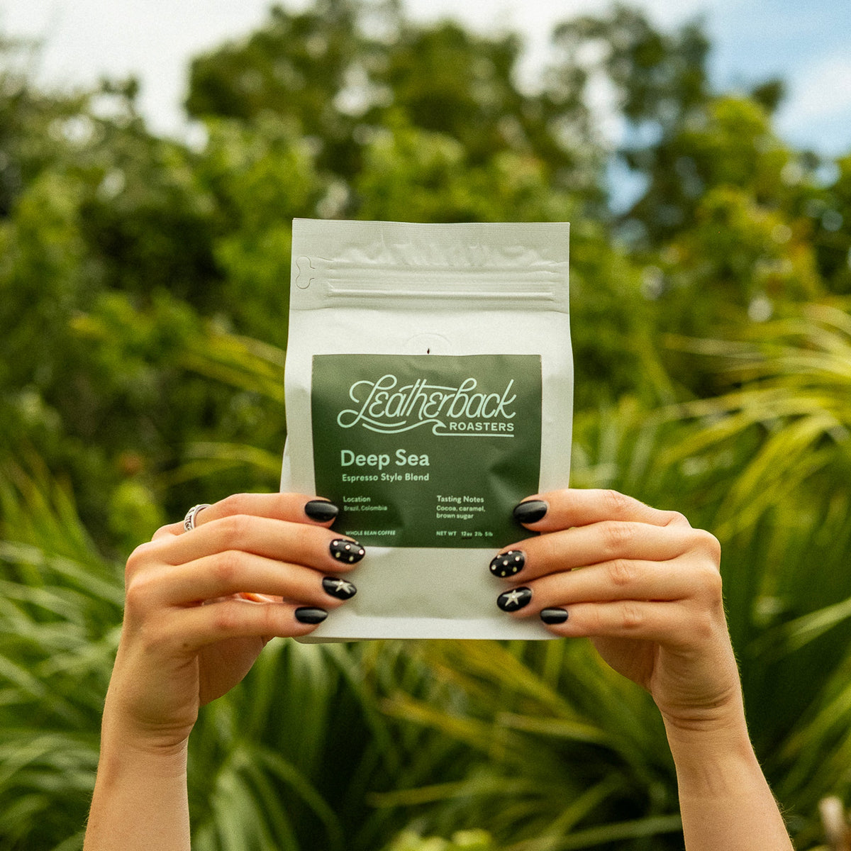 Specialty Coffee – Leatherback Roasters